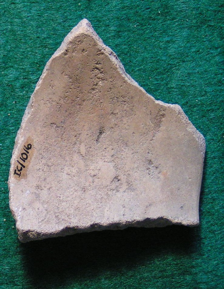 Pottery Sherd : IC-1016