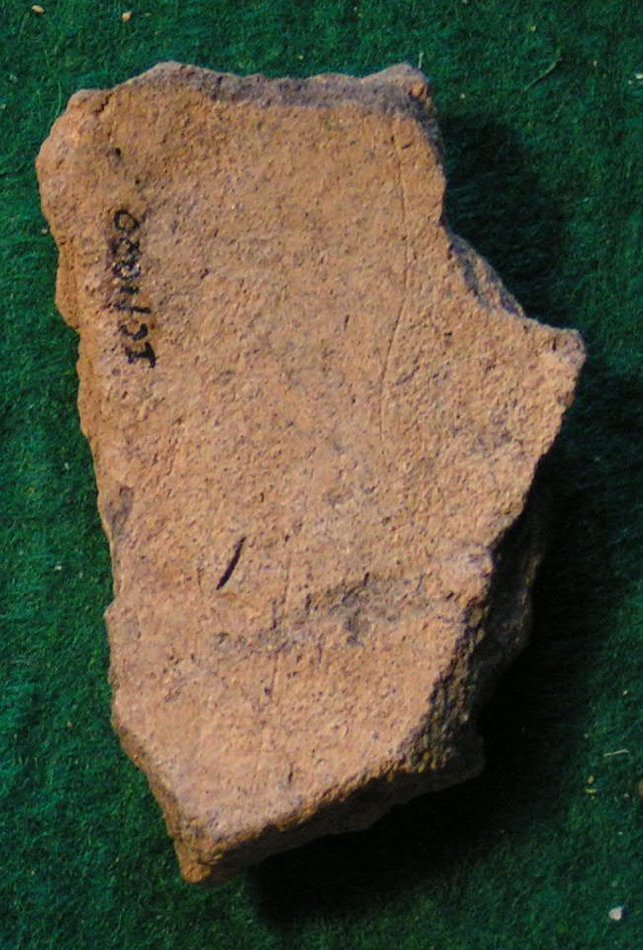 Pottery Sherd : IC-1020